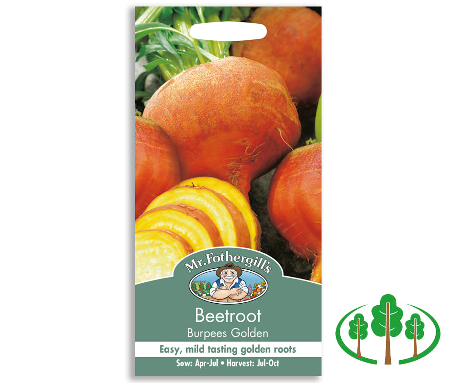 BEETROOT Burpees Golden – Torwood Garden Centre