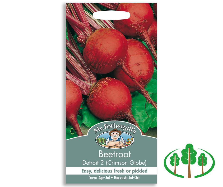 BEETROOT Detroit 2 (Crimson Globe) – Torwood Garden Centre