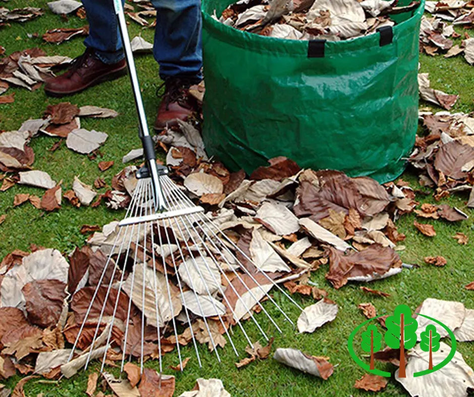 Expanding Telescopic Rake 15 Tine – Torwood Garden Centre