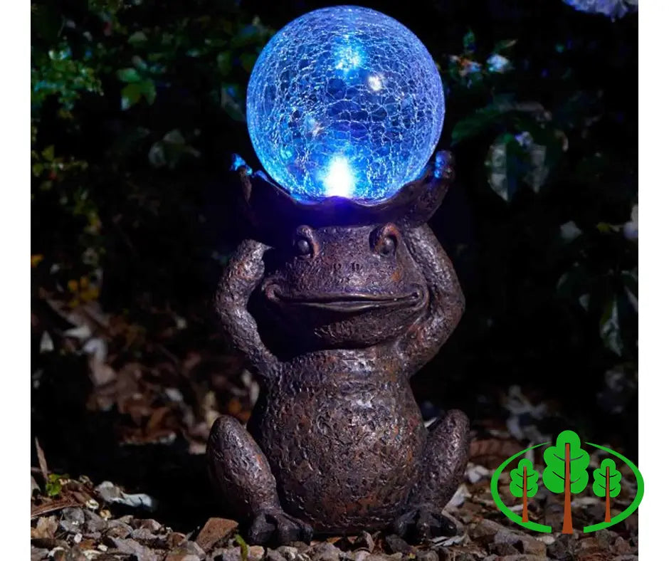 Gazing Frog – Torwood Garden Centre