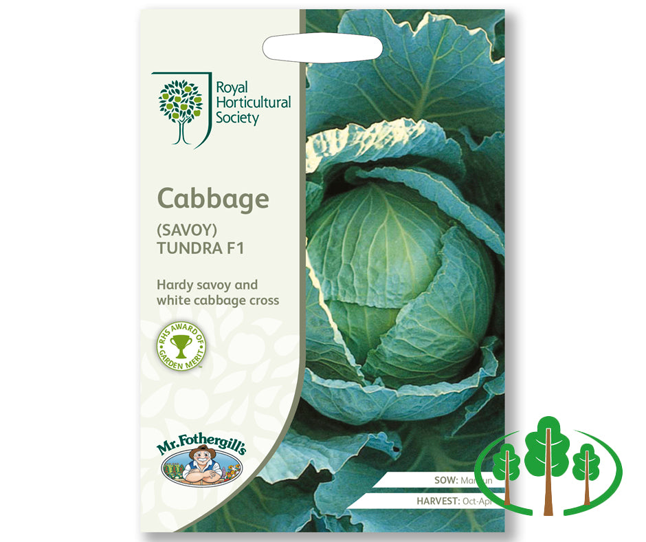 RHS-CABBAGE (Savoy) Tundra F1 – Torwood Garden Centre