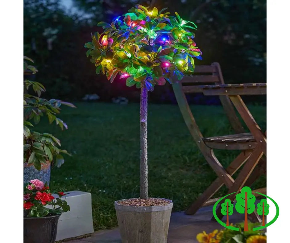 Solar Strings - 100 Multi Coloured LEDs – Torwood Garden Centre