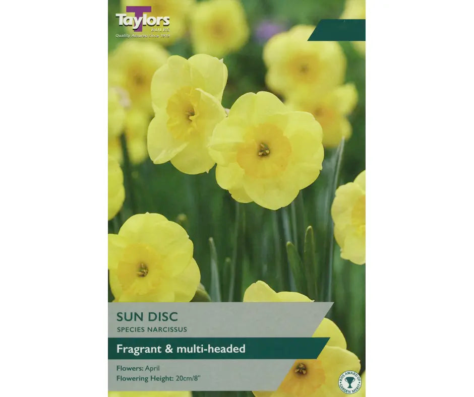 Narcissus 'Sun Disc' – Torwood Garden Centre
