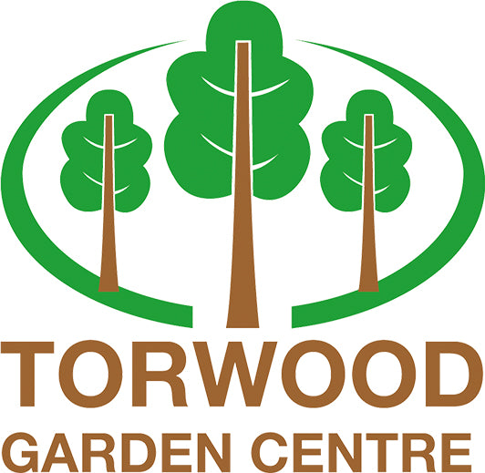 Plants – Page 2 – Torwood Garden Centre